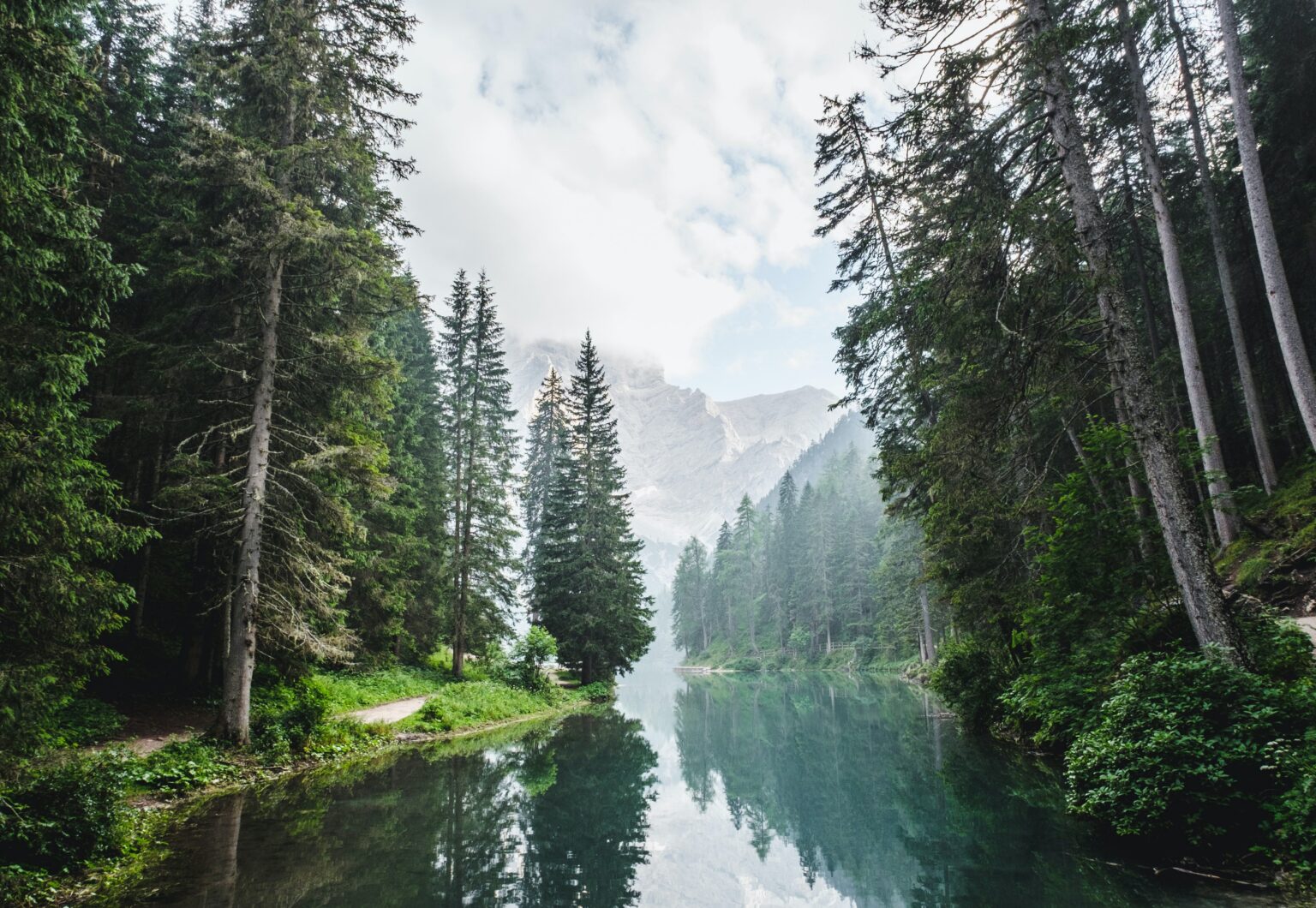 6 Ideas to Enjoy Nature and Reduce Stress - Indy Posted